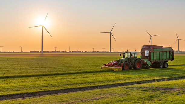 Agriculture Industriy